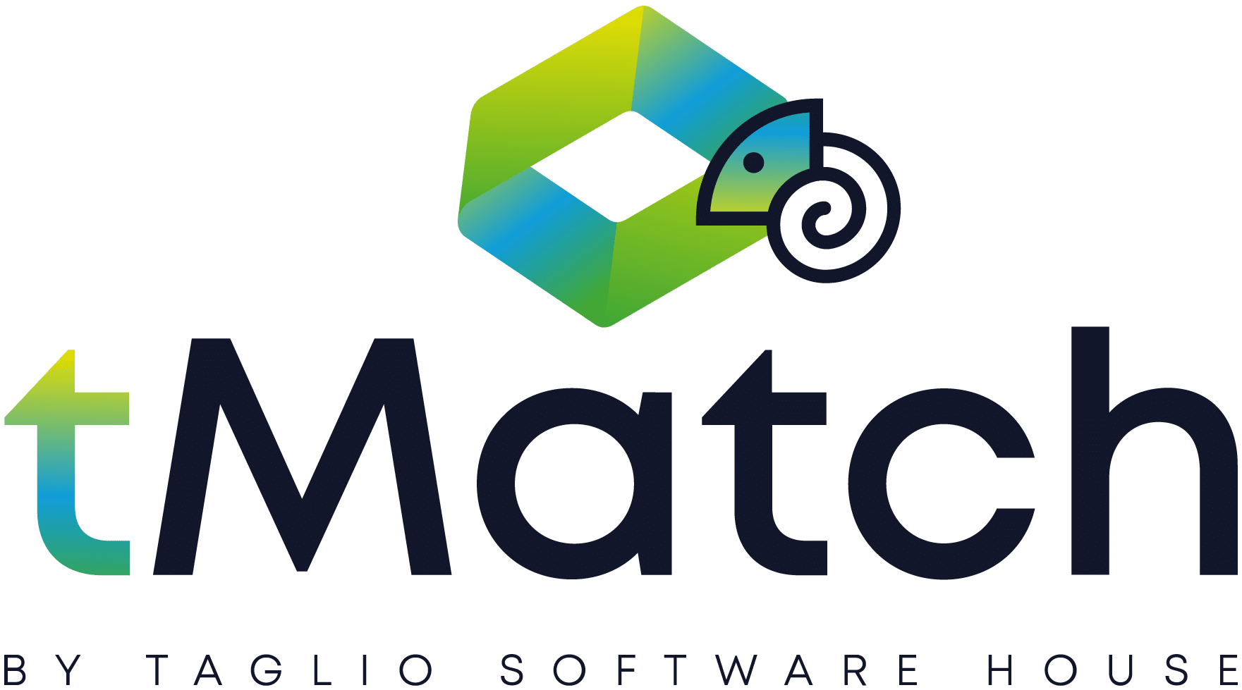 tMatch & Slab Inventory Software for SlabVision™ Scanner - Park Industries